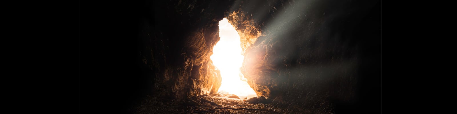Have You Seen the Light of Christ? | John 1:1-13 - Light of Life